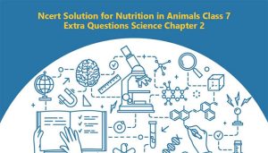 NCERT Solution for Nutrition in Animals Class 7 Extra Questions Science ...